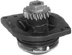 RD 74 – F 100 4.3 8V TD | Roda Bombas de agua