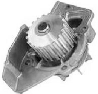 RD 305 – VITARA 1.6 D | Roda Bombas de agua