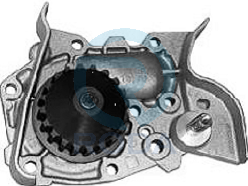 RD 263 – RENAULT KANGOO 1.4 8V | Roda Bombas de agua