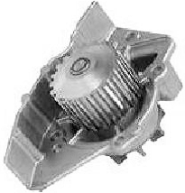 RD 305 – VITARA 1.6 D | Roda Bombas de agua